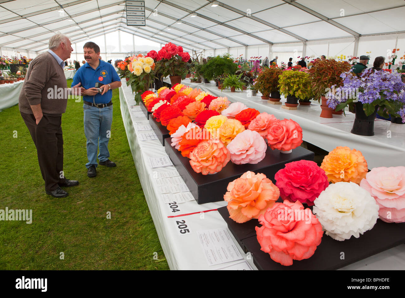UK, England, Merseyside, Southport Flower Show, exhibitors with prize ...