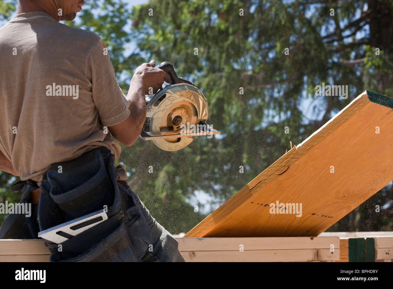 Carpenter sawing wooden plank focus hi-res stock photography and images ...