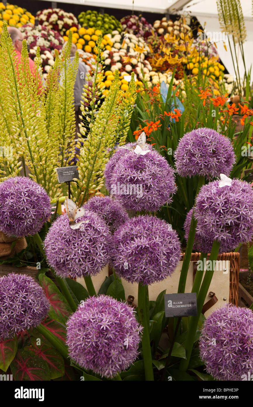 UK, England, Merseyside, Southport Flower Show, Grand Floral Marquee ...