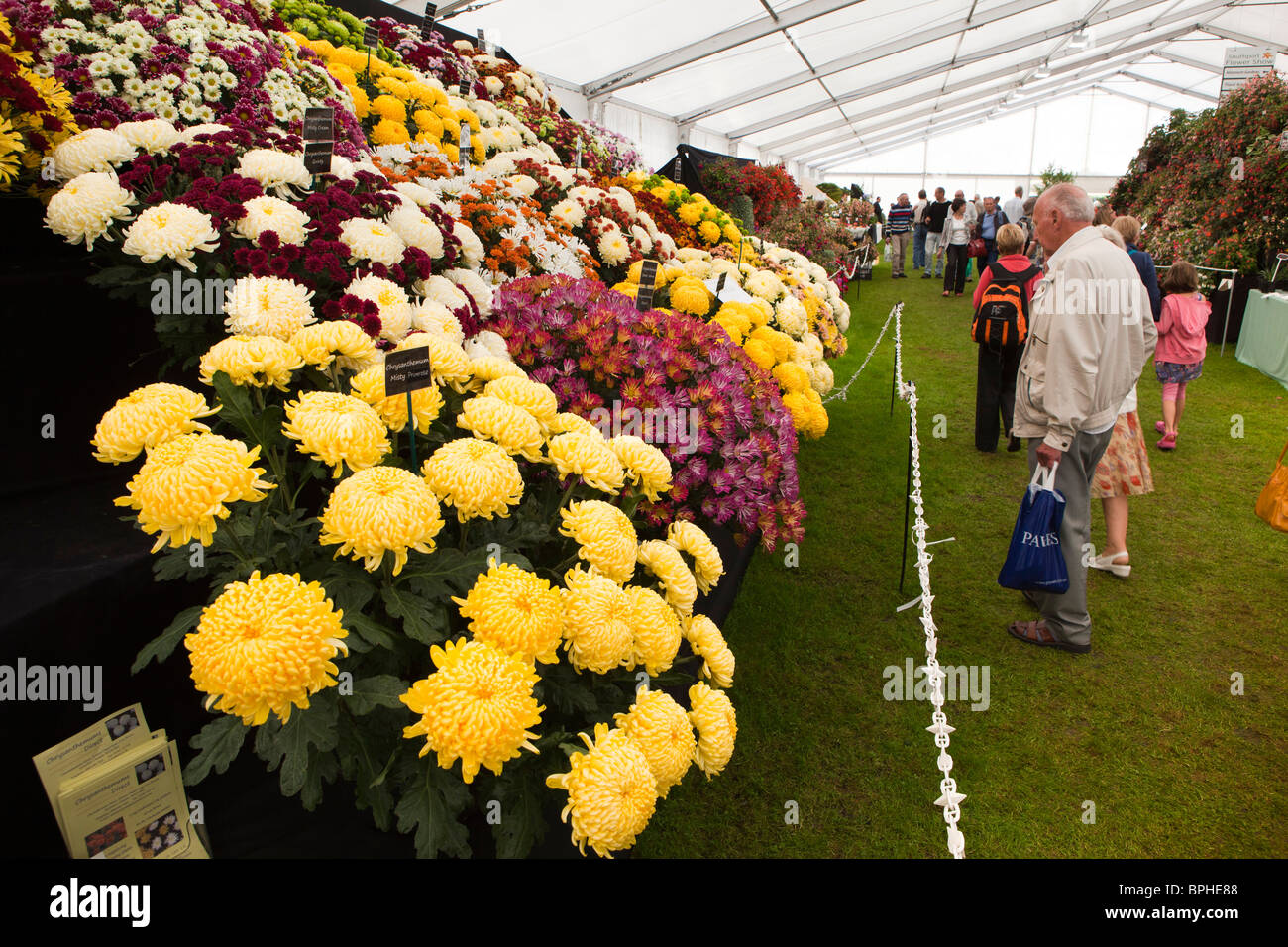 Southport flower show hi-res stock photography and images - Alamy