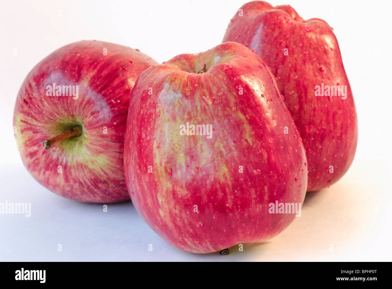 Cutted stem hi-res stock photography and images - Alamy