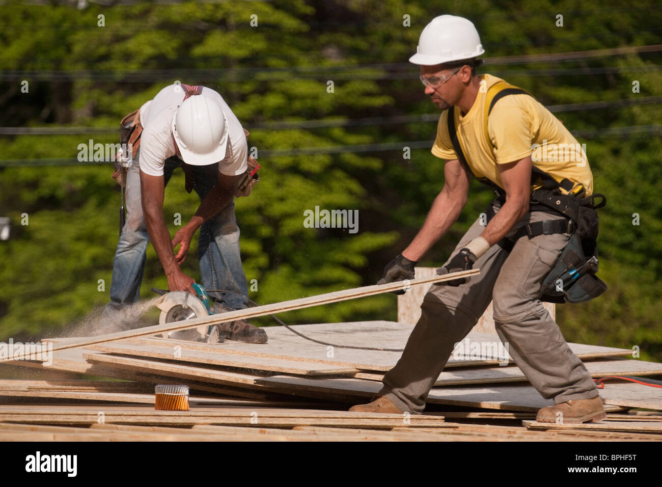 Carpenters trimming a particle board Stock Photo - Alamy