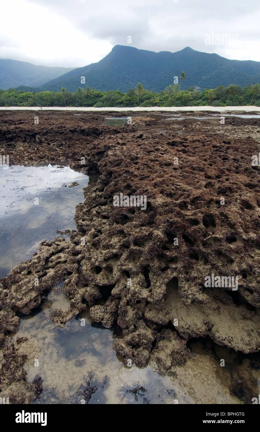 Dead coral hi-res stock photography and images - Alamy