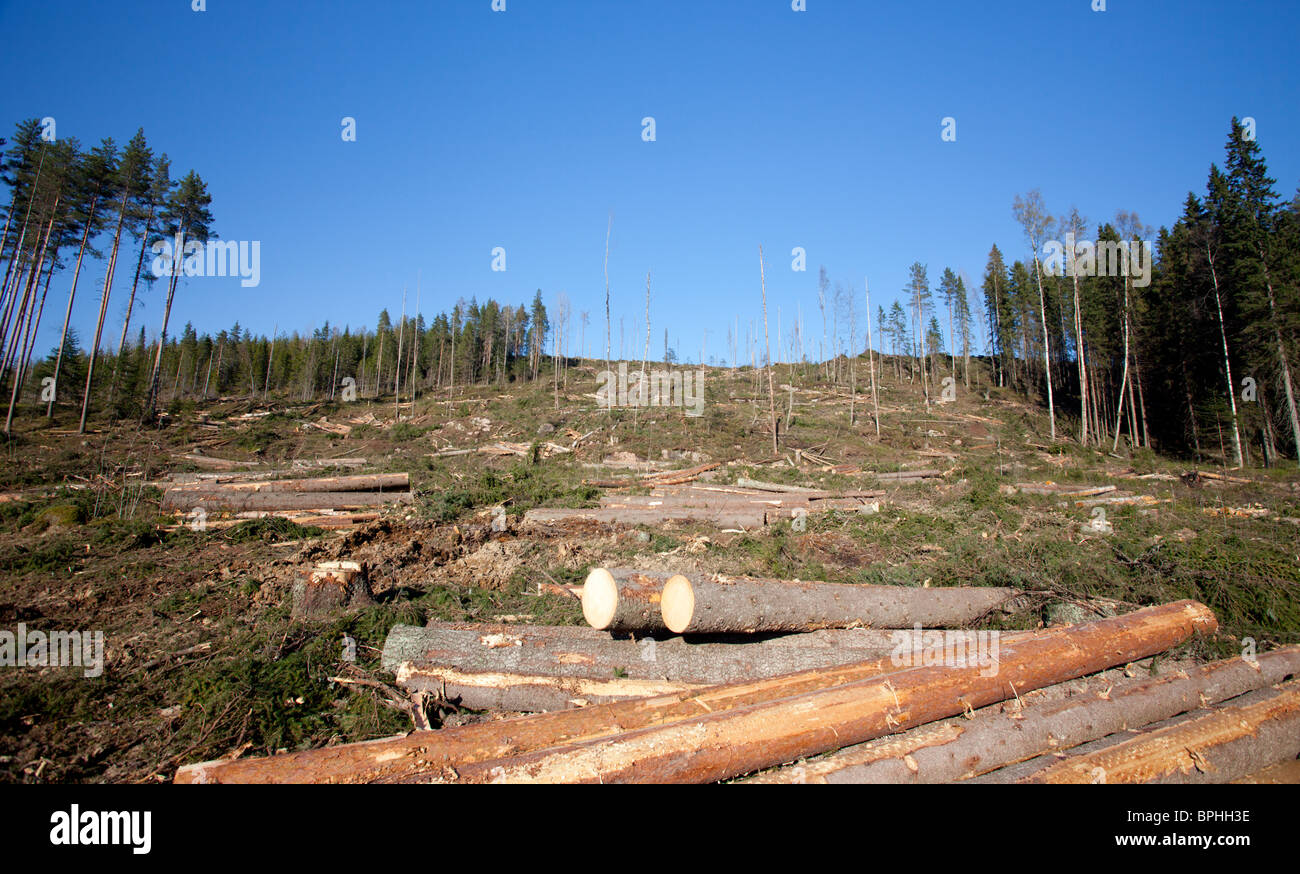 Hillside clearing clearance hi-res stock photography and images - Alamy