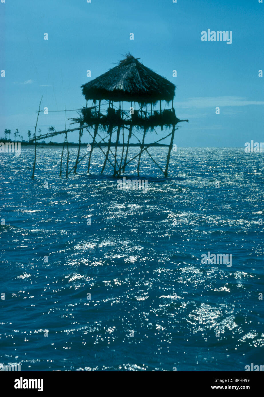 A fish lookout off the coast of Fiji, Pacific Ocean Stock Photo - Alamy