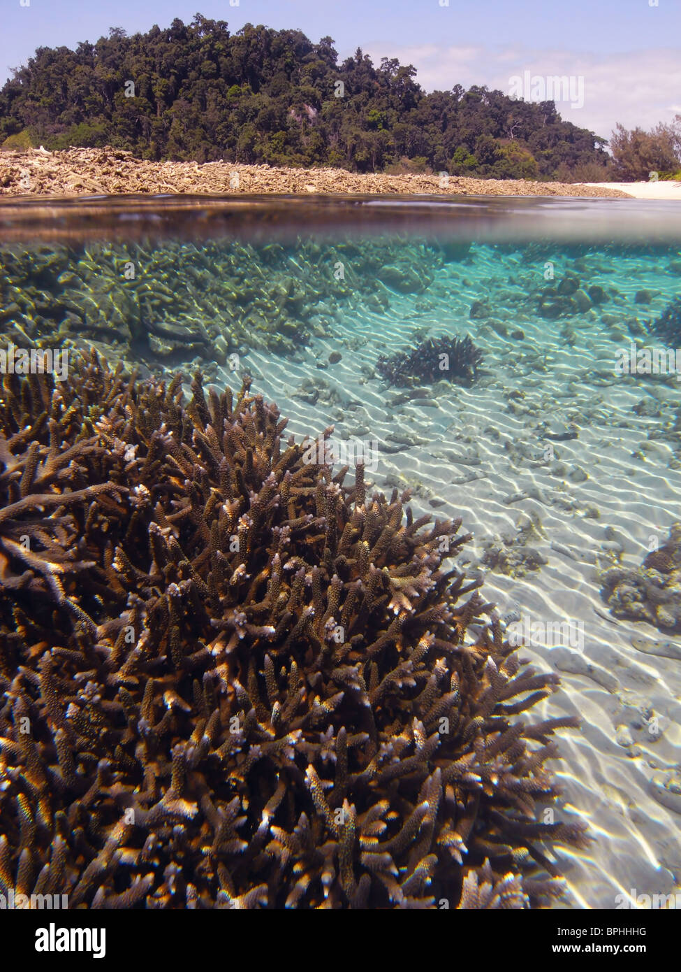 Russell island marine park hi-res stock photography and images - Alamy