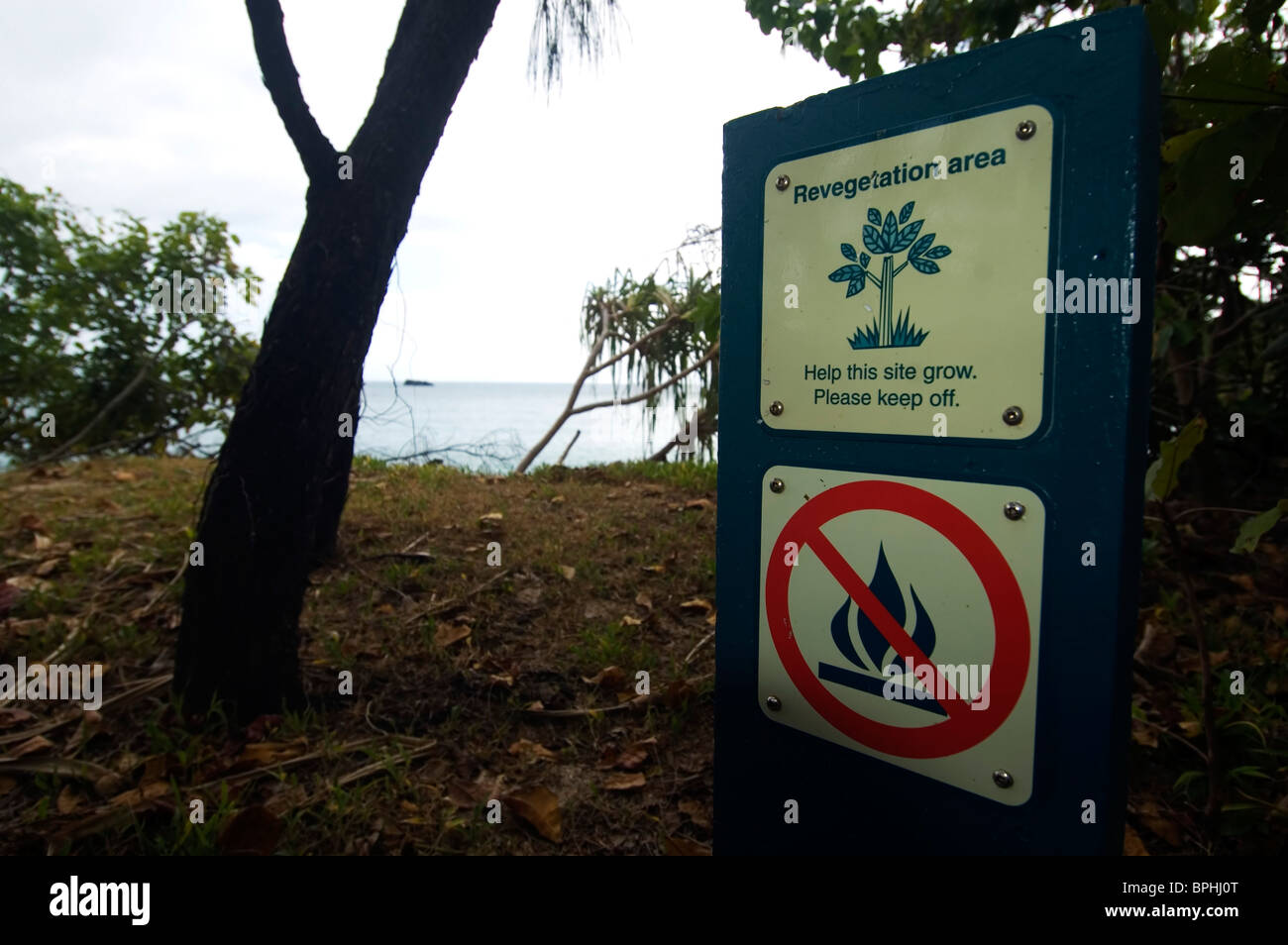 Revegetation program hi-res stock photography and images - Alamy