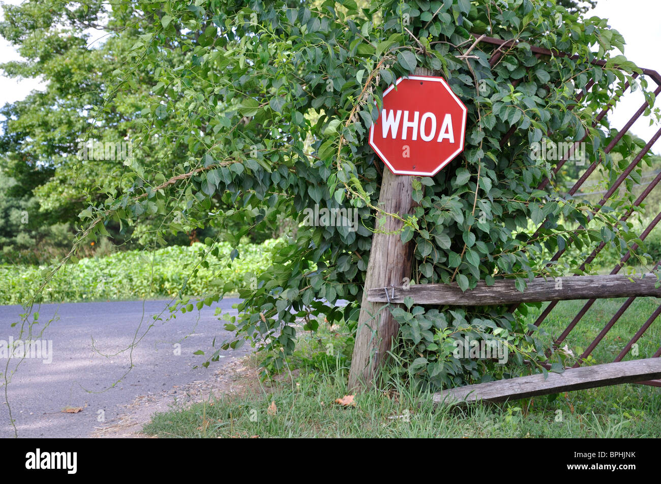 Whoa stop sign hi-res stock photography and images - Alamy