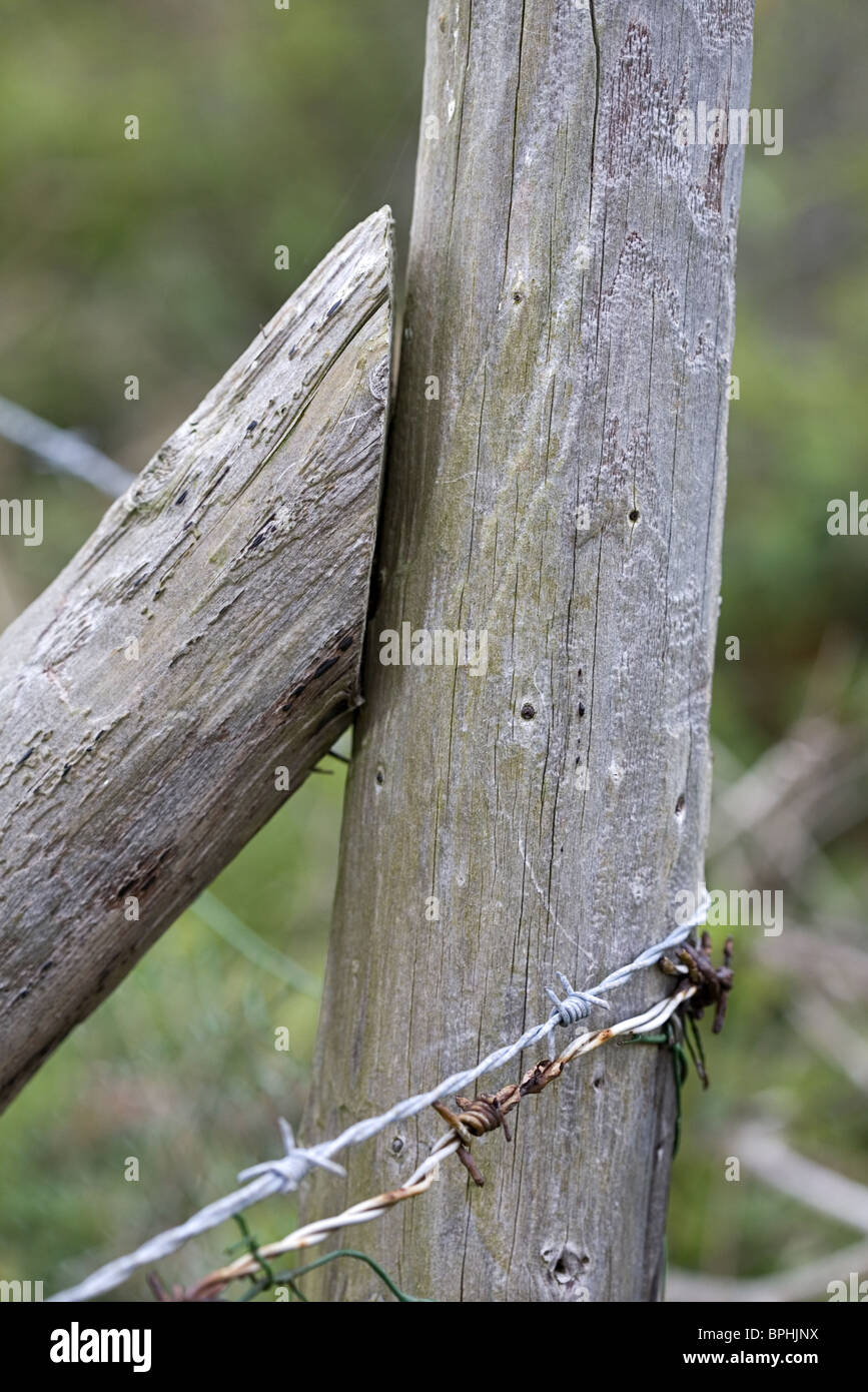 Pole with shore and barbed wire, Holland Stock Photo - Alamy