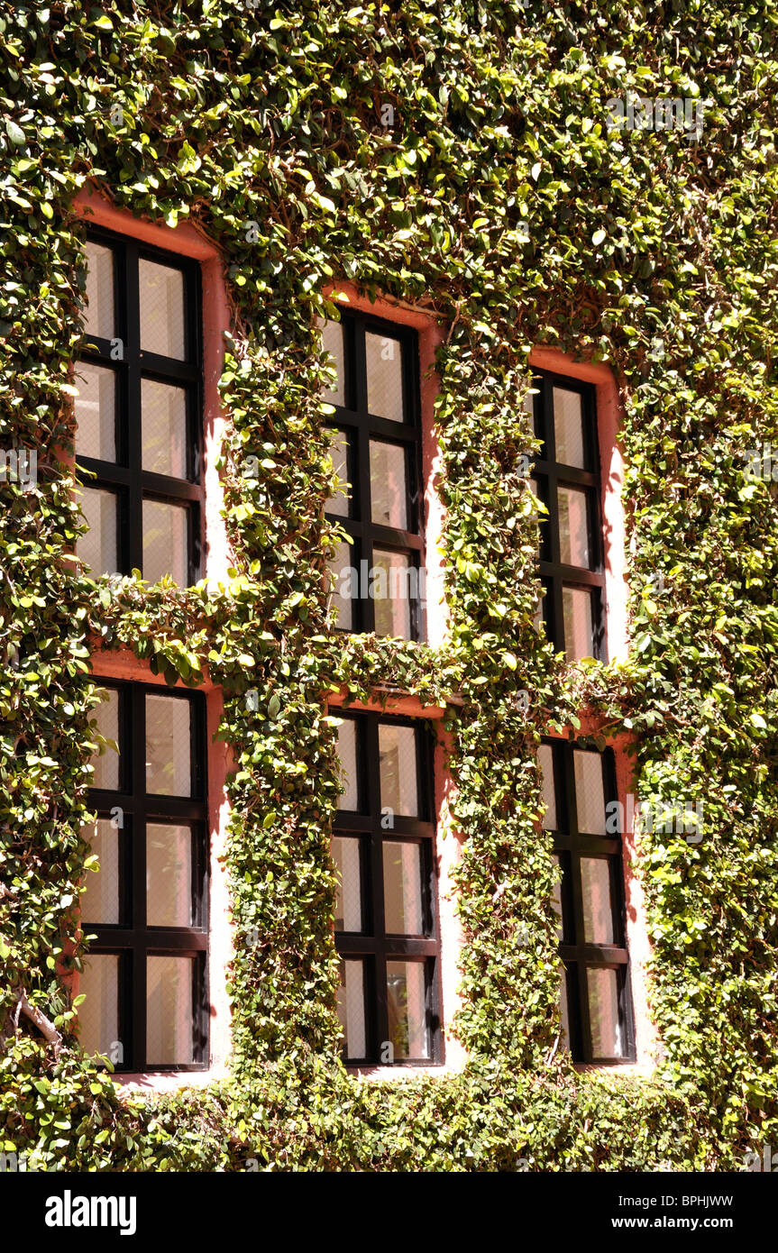 California windows hi-res stock photography and images - Alamy