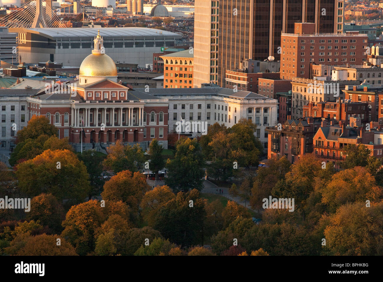 Autumn trees in a park, Boston, Suffolk County, Massachusetts, USA ...