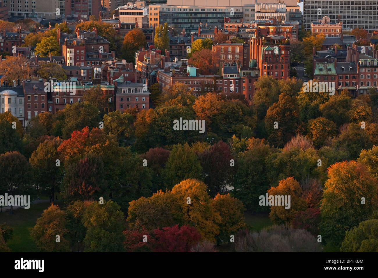 Autumn trees in a park, Boston, Suffolk County, Massachusetts, USA ...