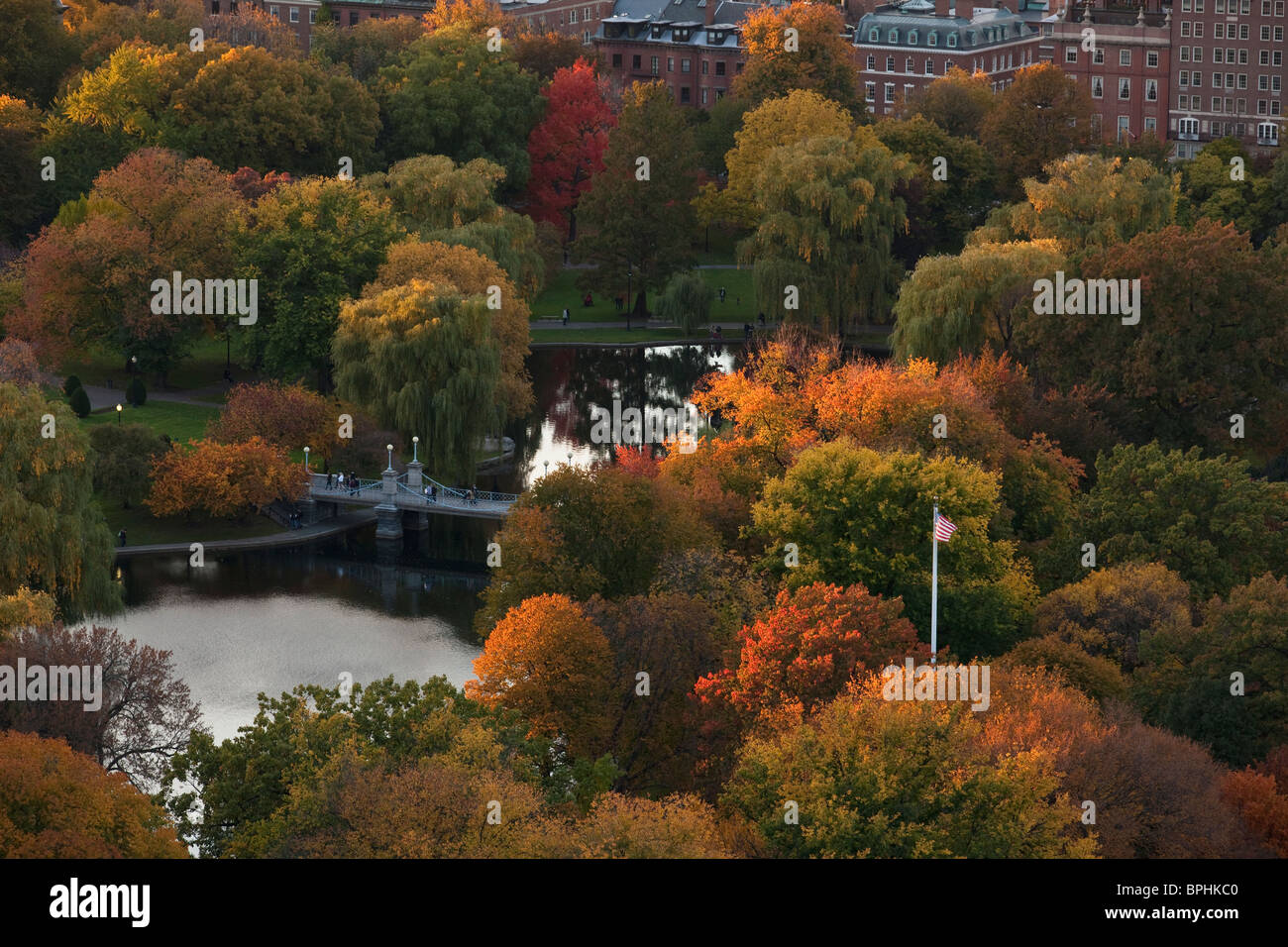 Autumn trees in a park, Boston Public Garden, Boston, Suffolk County ...