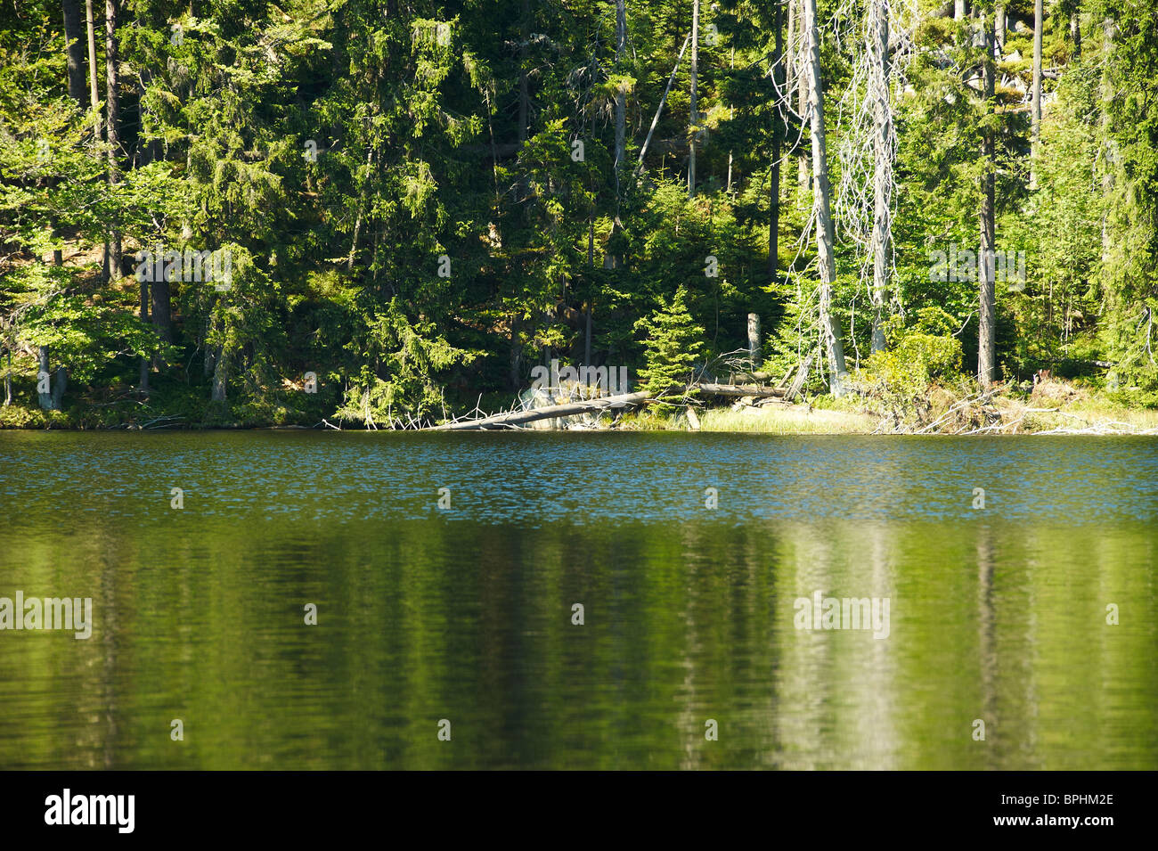 Prasilske jezero, Polednik, National Park Sumava, Czech Republic Stock ...