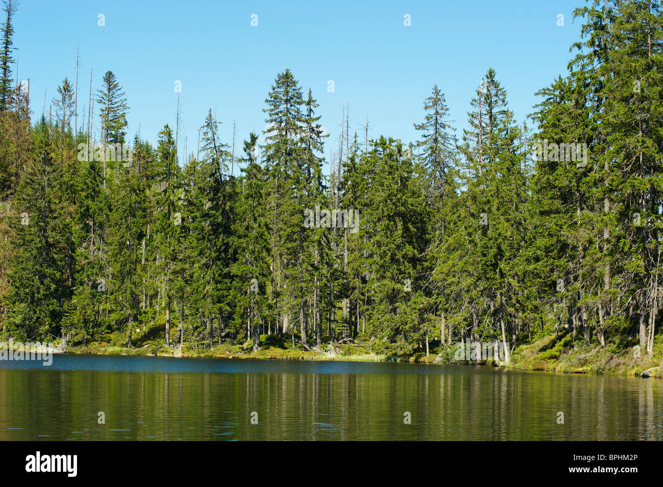 Prasilske jezero, Polednik, National Park Sumava, Czech Republic Stock ...