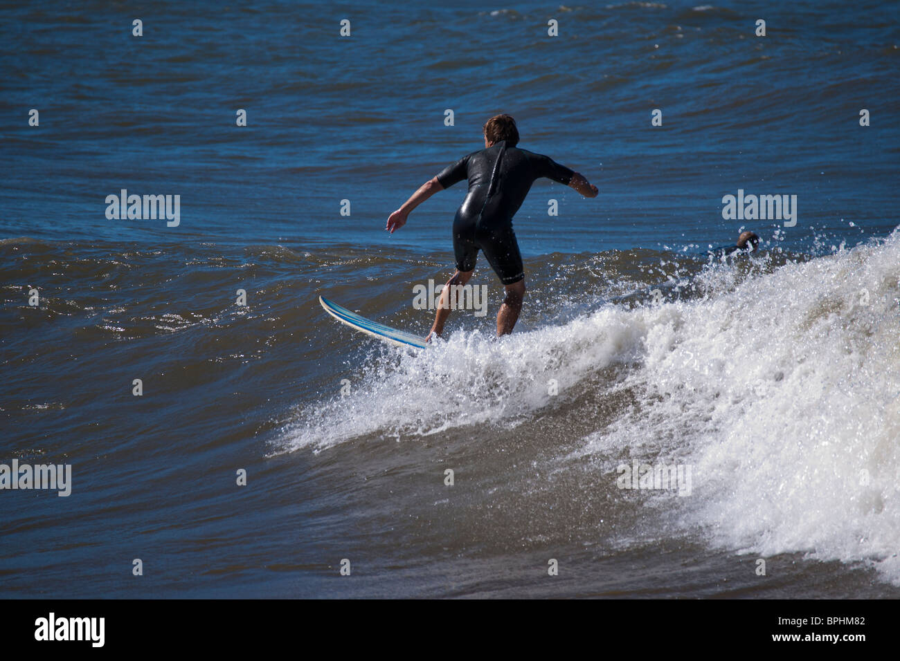 Surfer posing surf board on the waves rear view from back behind ...