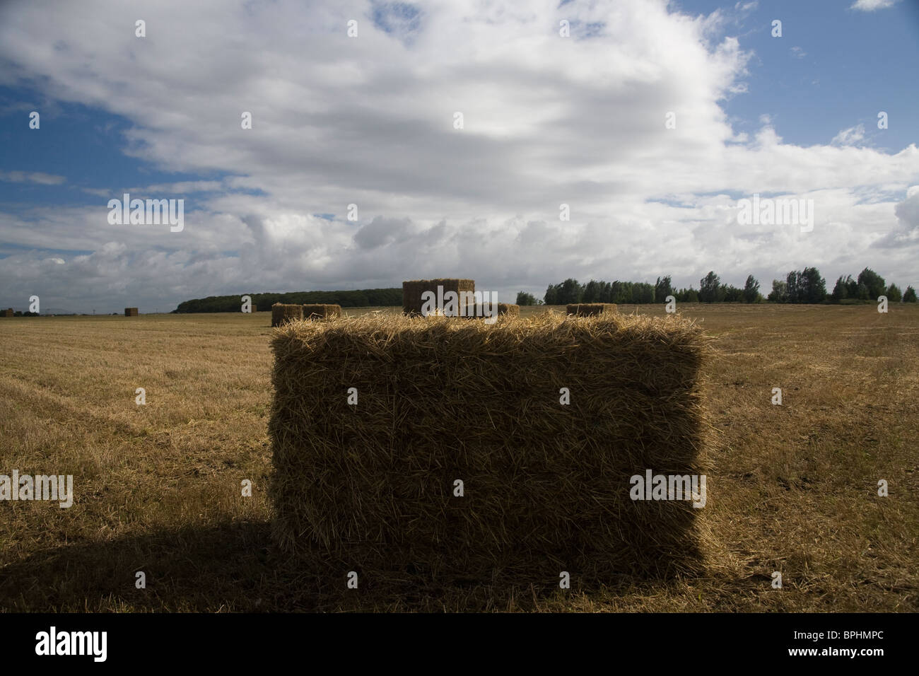 English Countryside Straw baled on farms near Southport, Merseyside, UK ...
