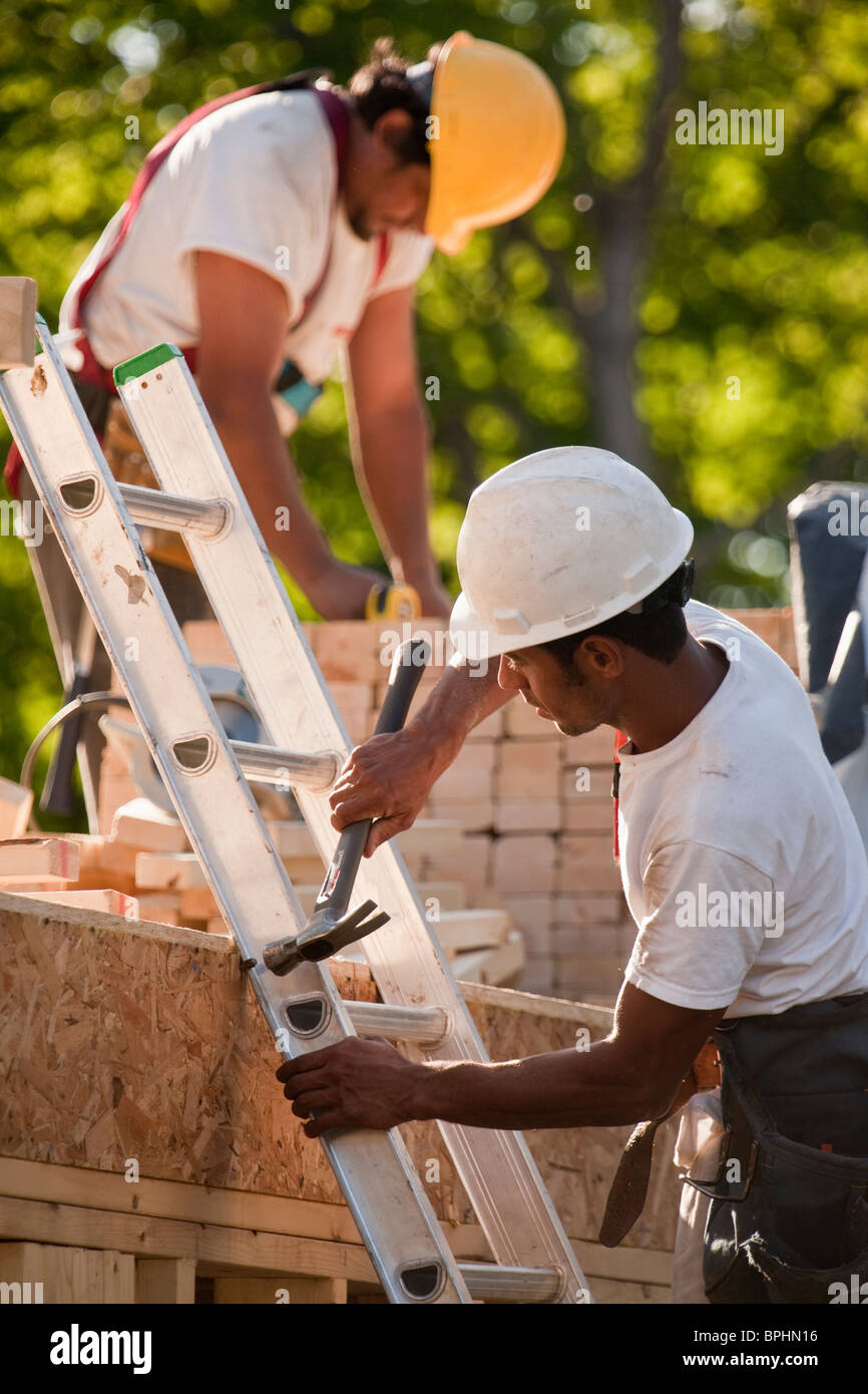 Carpenters securing ladder in place Stock Photo - Alamy