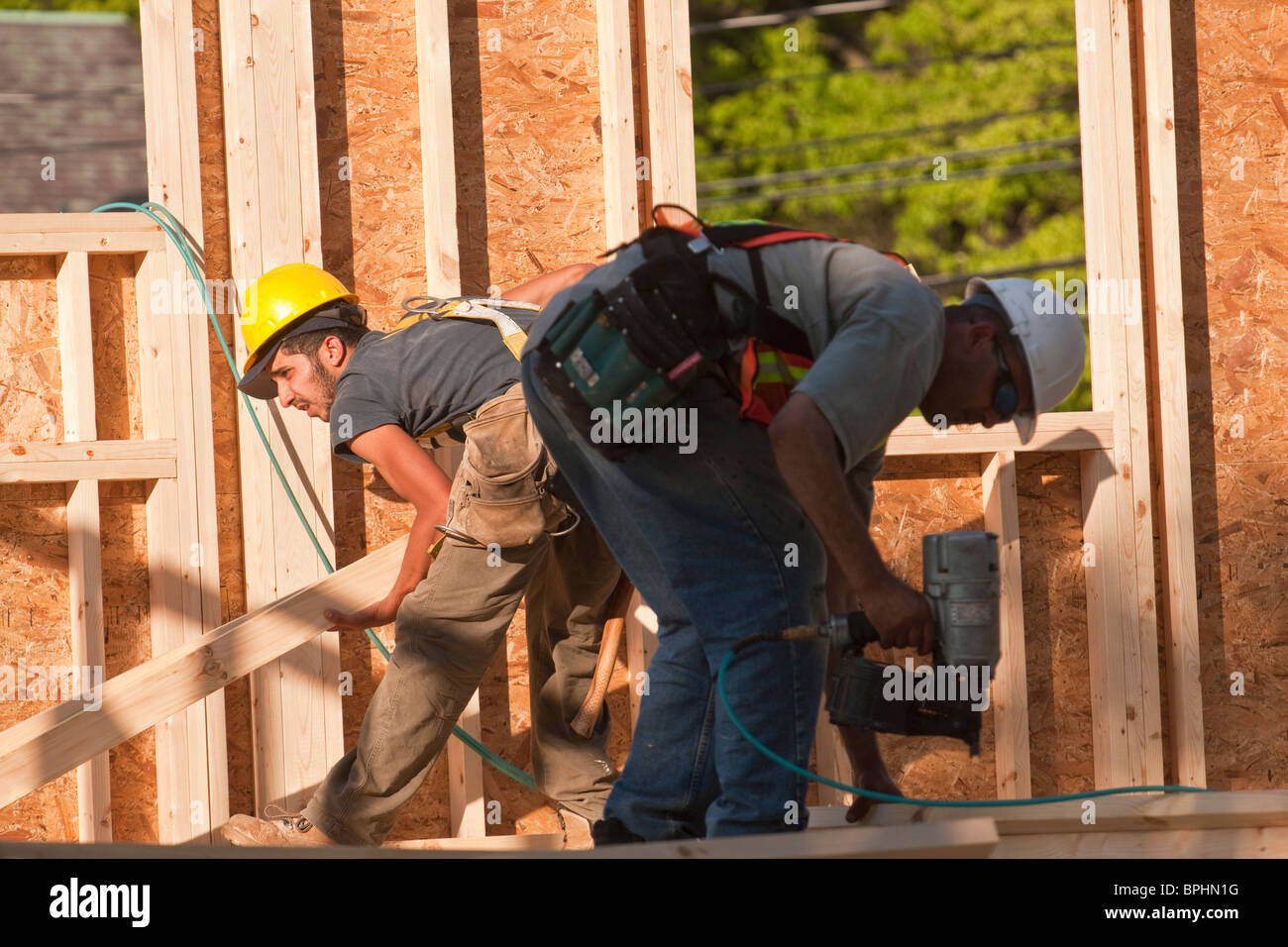 Carpenter lifting studs and using nail gun Stock Photo - Alamy