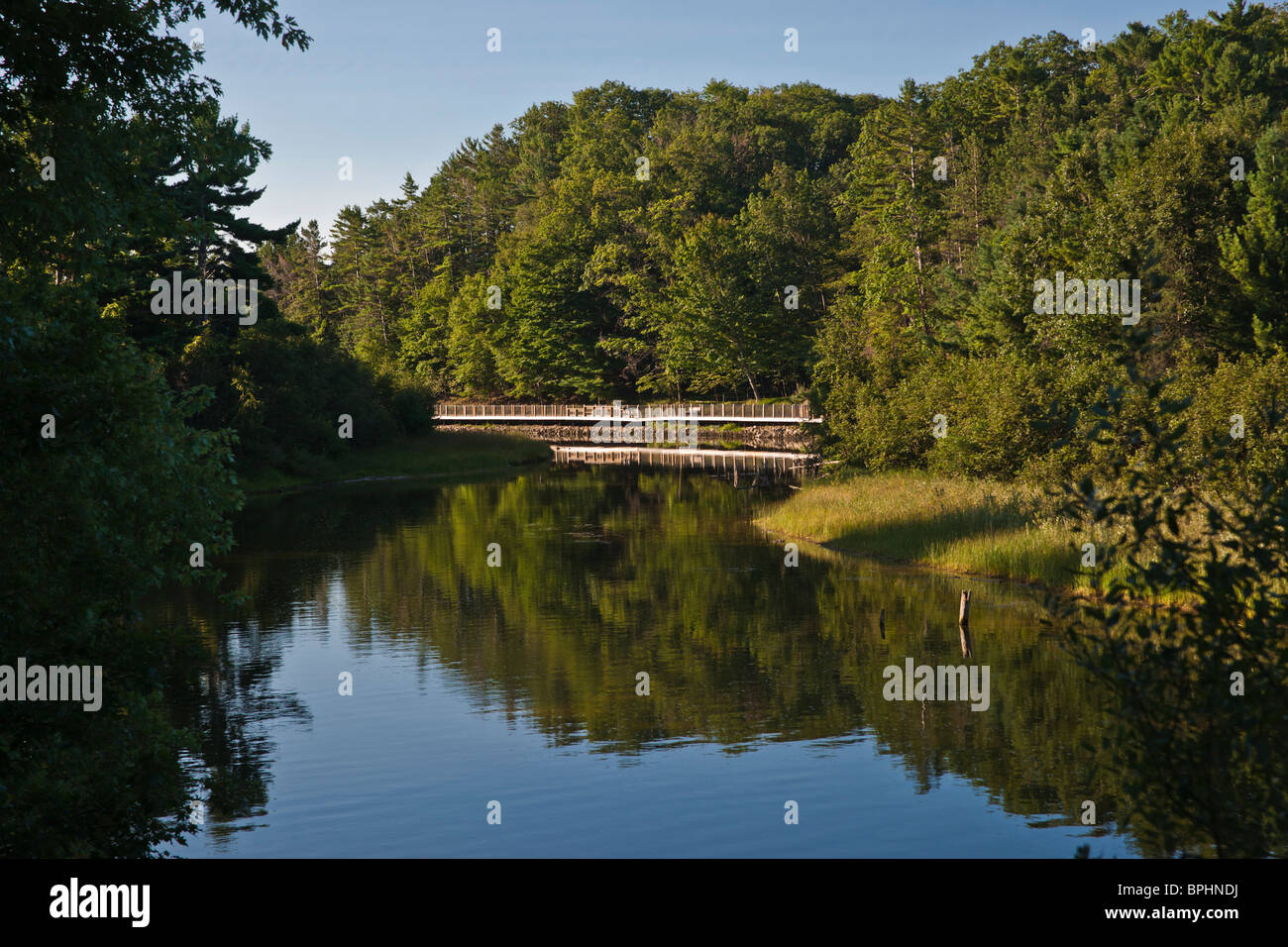 Sable River in Michigan landscape at sunrise with trees reflections in the water public garden ...