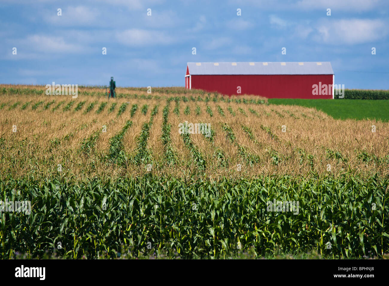 Rowes farm hi-res stock photography and images - Alamy