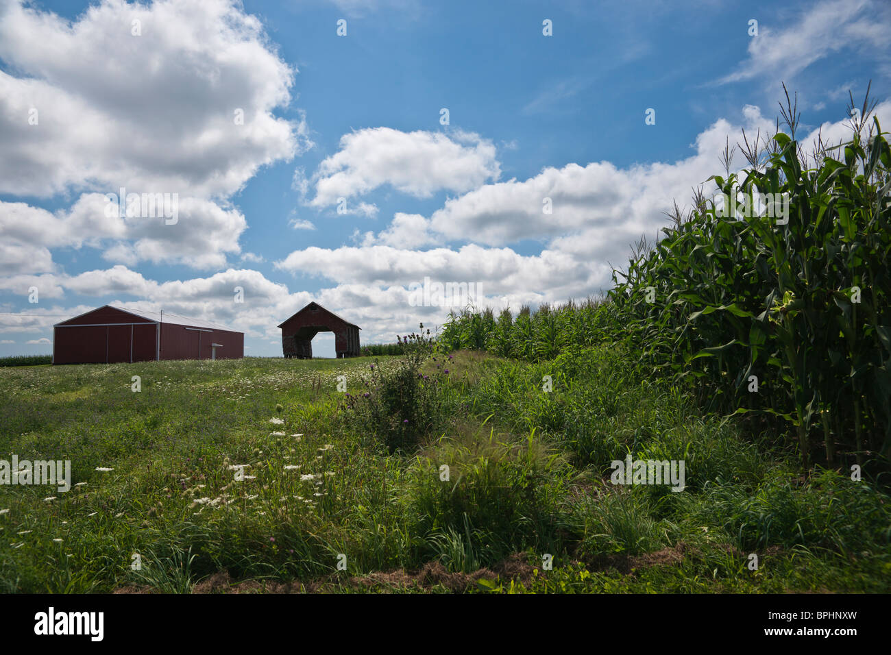 Beautiful american farmhouse farm hi-res stock photography and images ...