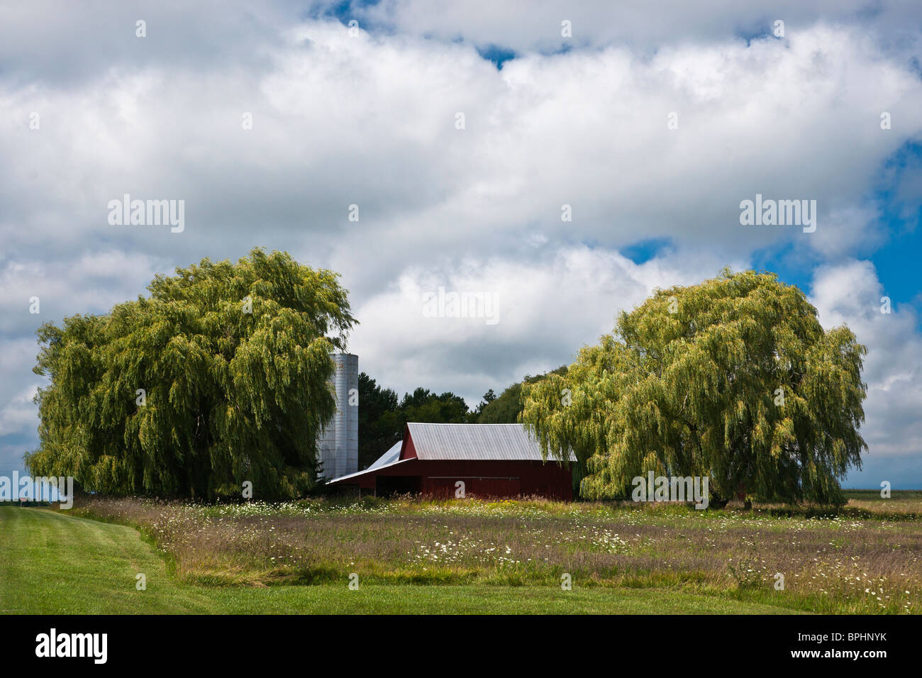 American farming farm silo with willow trees in Michigan MI USA nobody hi-res Stock Photo - Alamy