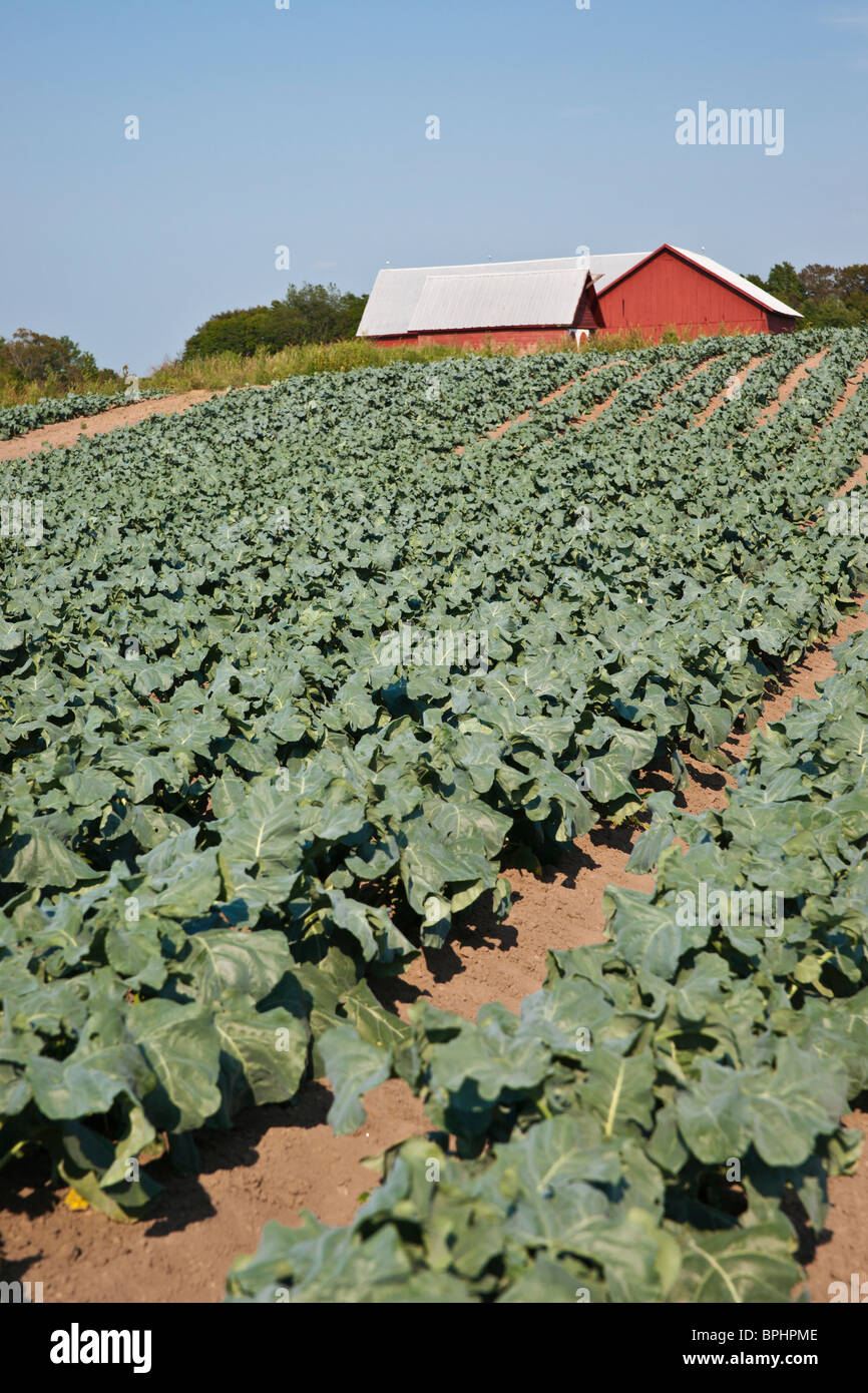 Red barn rural lifestyle country rustic hi-res stock photography and ...