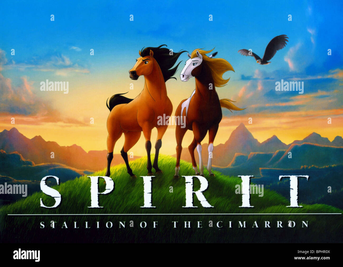Spirit Stallion Of The Cimarron High Resolution Stock Photography and ...