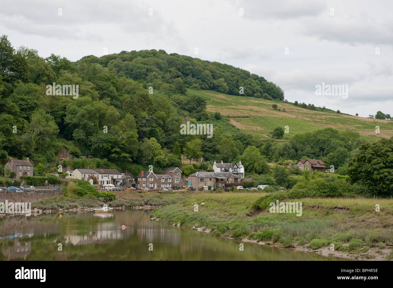 Tintern village, grapevines can be seen growing on the hillside Stock ...