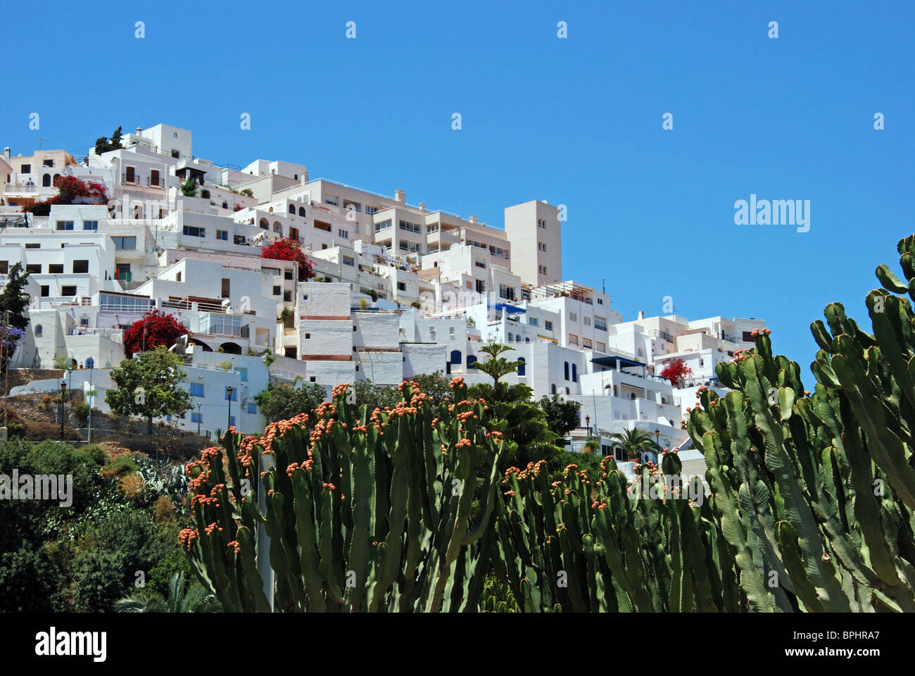General view of the town with cacti in the foreground, Mojacar Pueblo ...