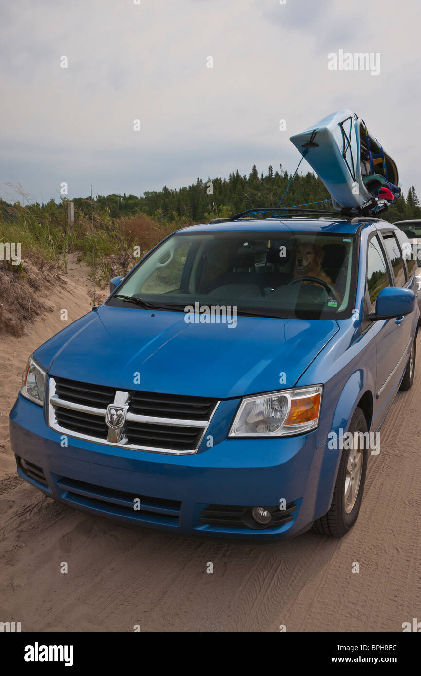 Funy photo dog animal behind the wheel of a carGolden Retriever dog ...