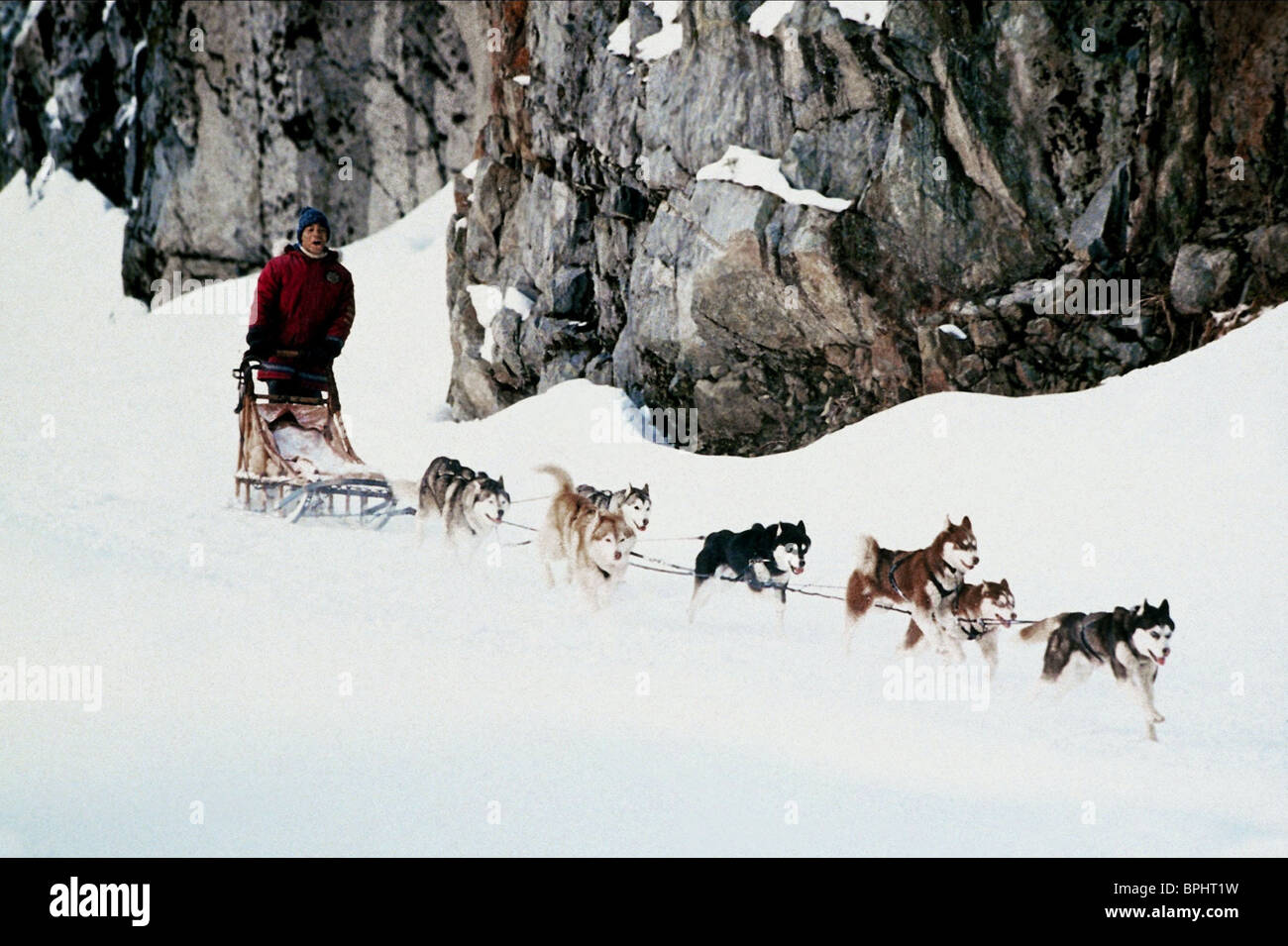 Snow Dogs Movie Still High Resolution Stock Photography and Images - Alamy