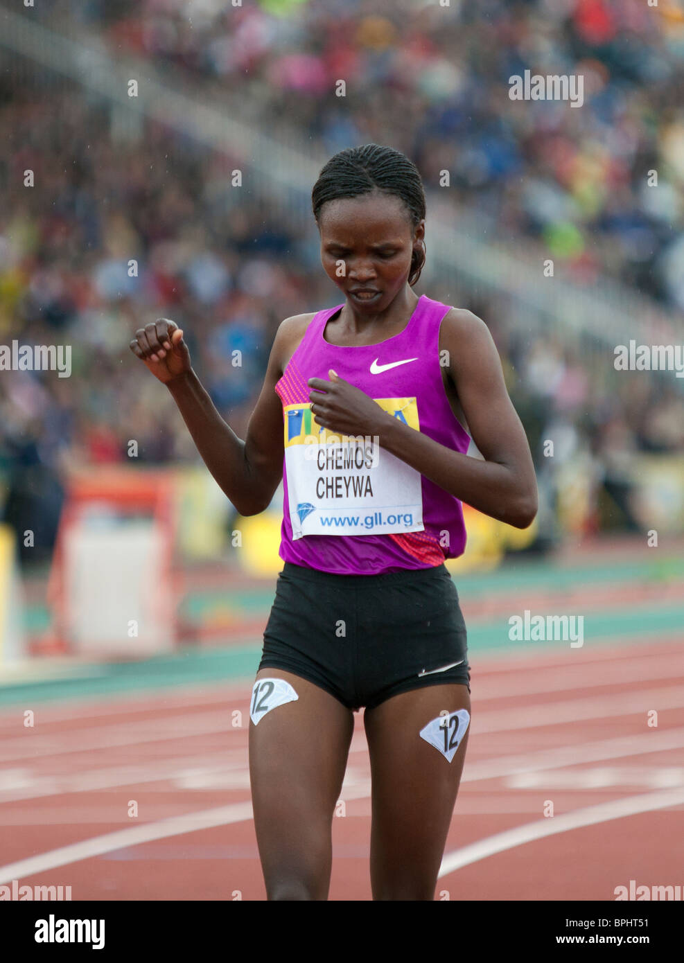 Womans steeplechase race hi-res stock photography and images - Alamy