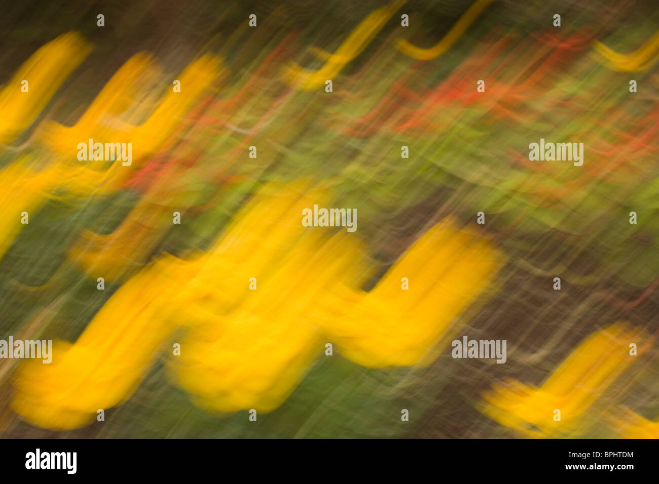 Yellow and Red Ticks - Abstract Stock Photo - Alamy