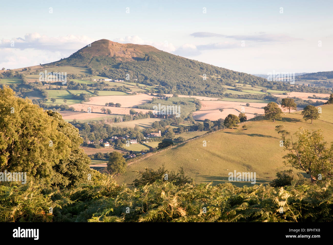 Pandy hi-res stock photography and images - Alamy