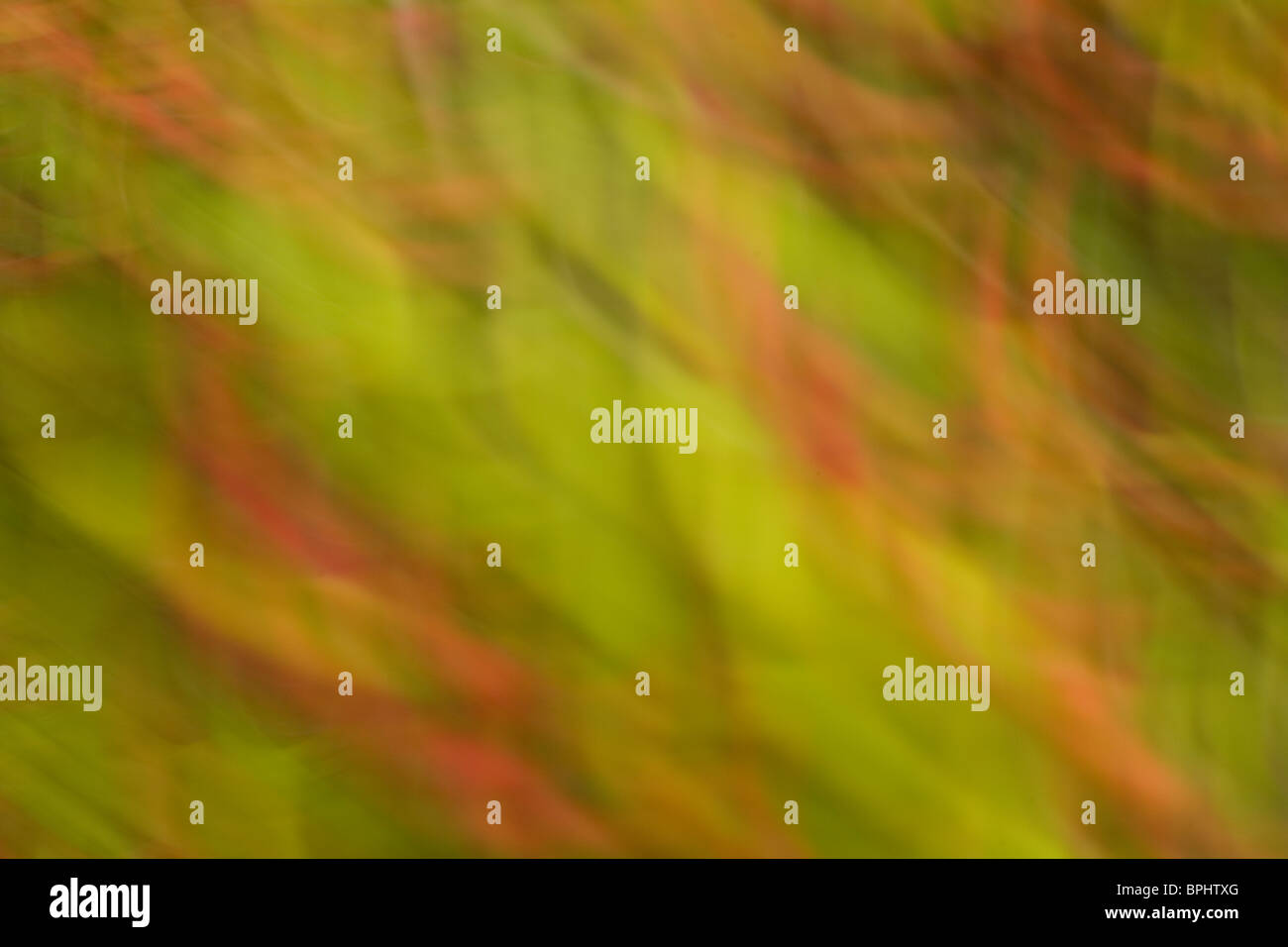 Red and Green - Abstract Stock Photo - Alamy
