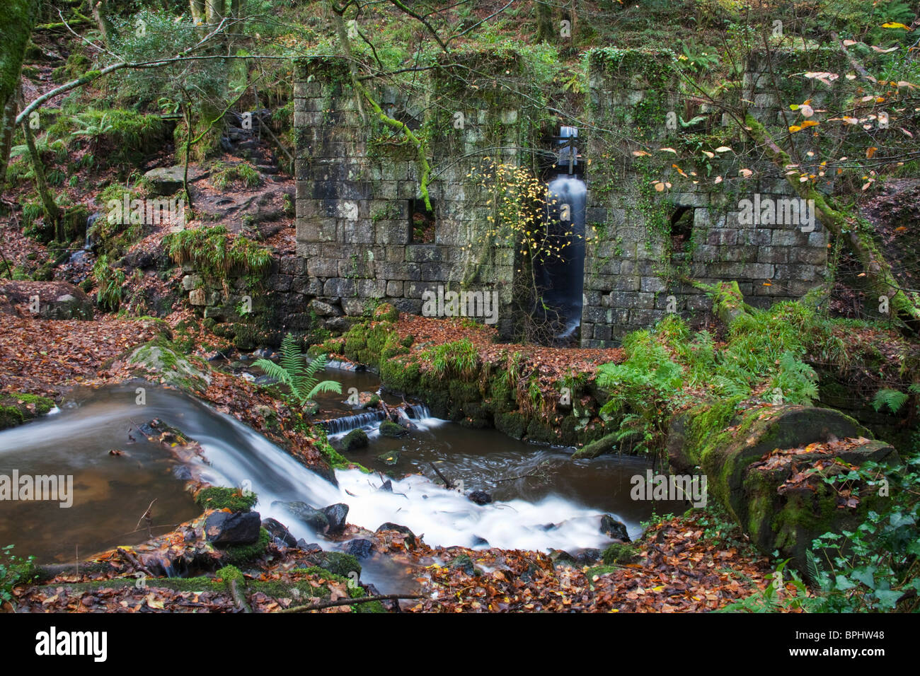 Part of autumn hi-res stock photography and images - Alamy