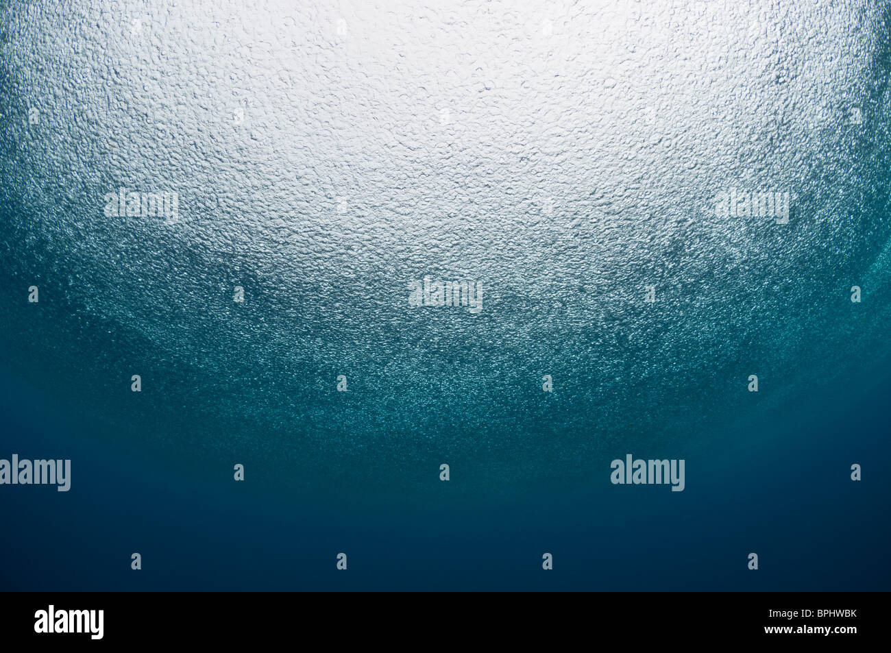 Sea surface from underwater hi-res stock photography and images - Alamy