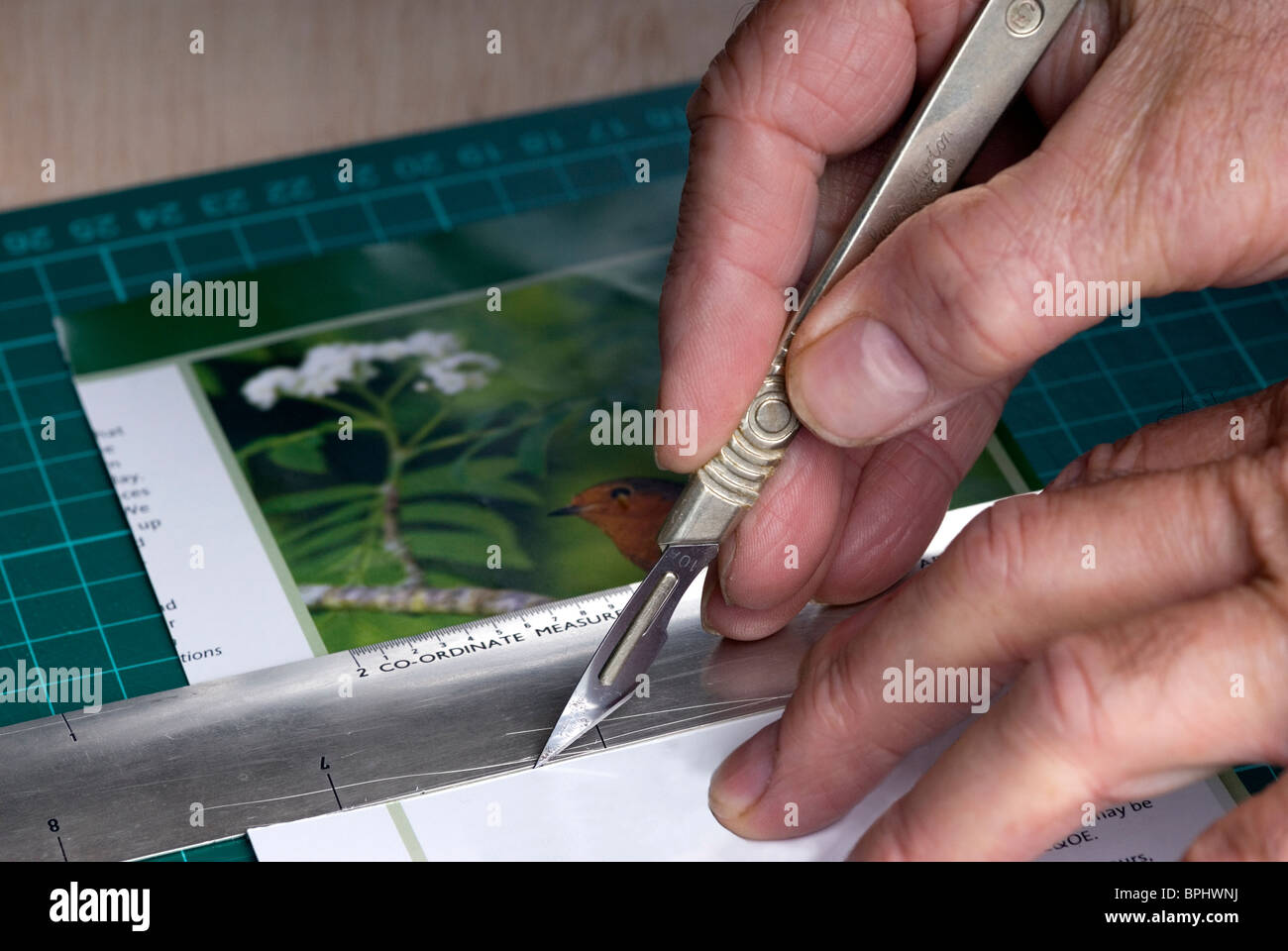 Man using scalpel to trim a print Stock Photo - Alamy