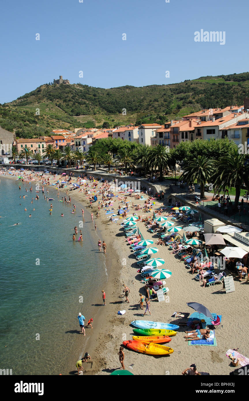 Beach & seafront at Collioure a historic coastal resort in the South of ...