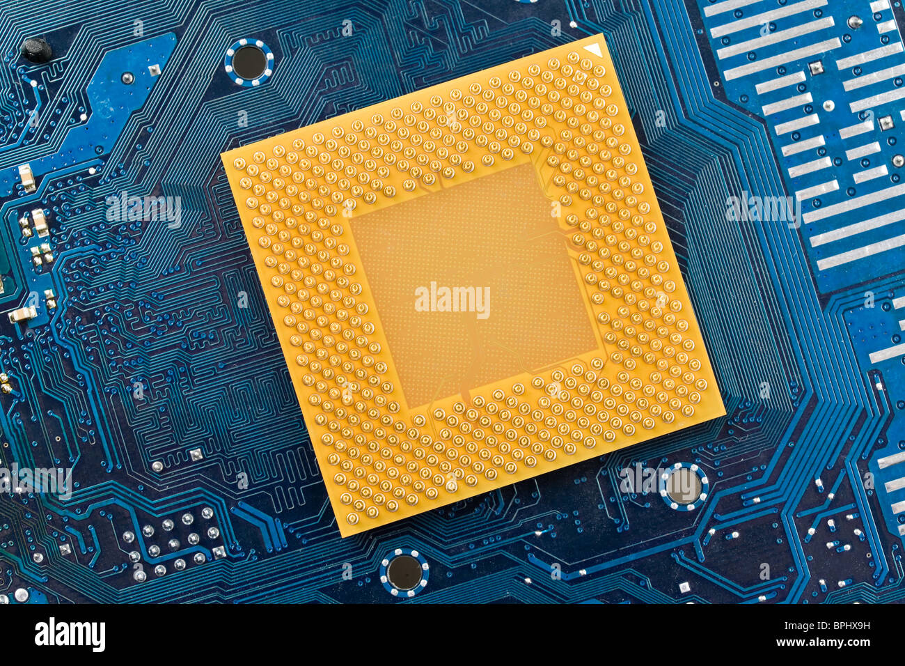 Golden Computer CPU close up shot Stock Photo - Alamy