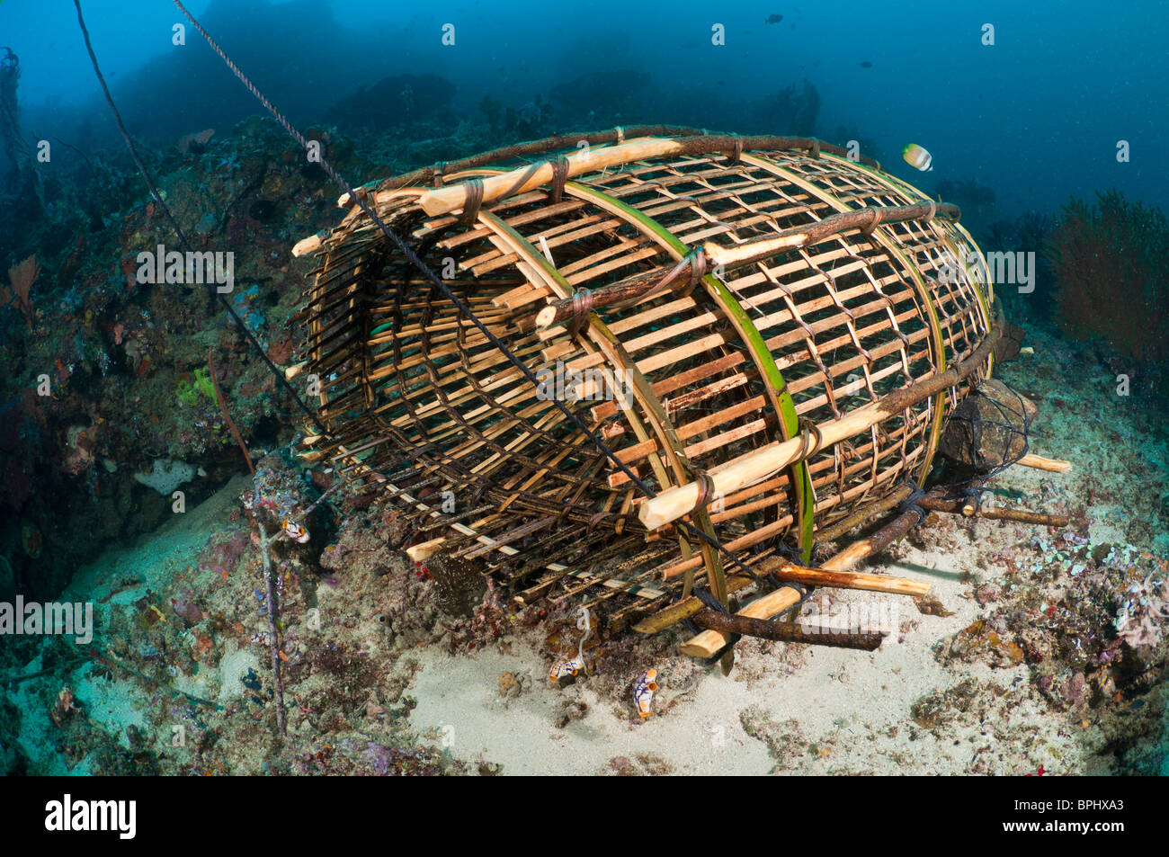 Traditional fish trap hi-res stock photography and images - Alamy