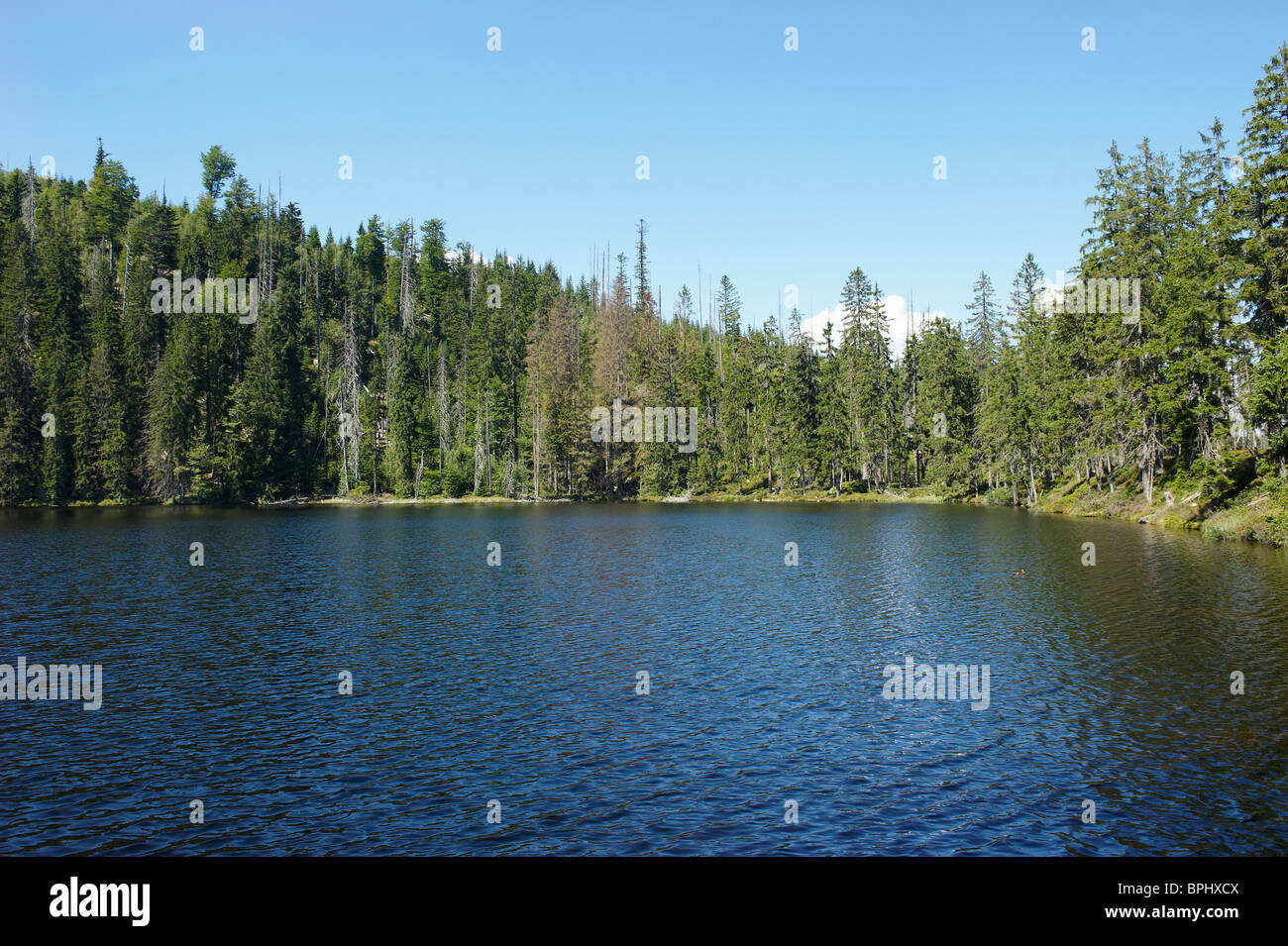 Prasilske jezero, Polednik, National Park Sumava, Czech Republic Stock ...