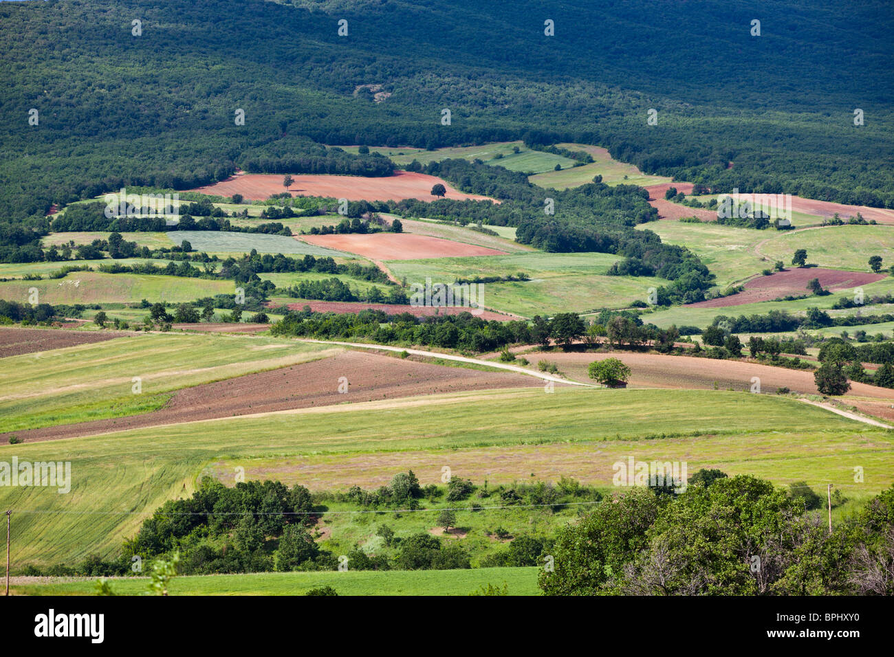 Thracia hi-res stock photography and images - Alamy