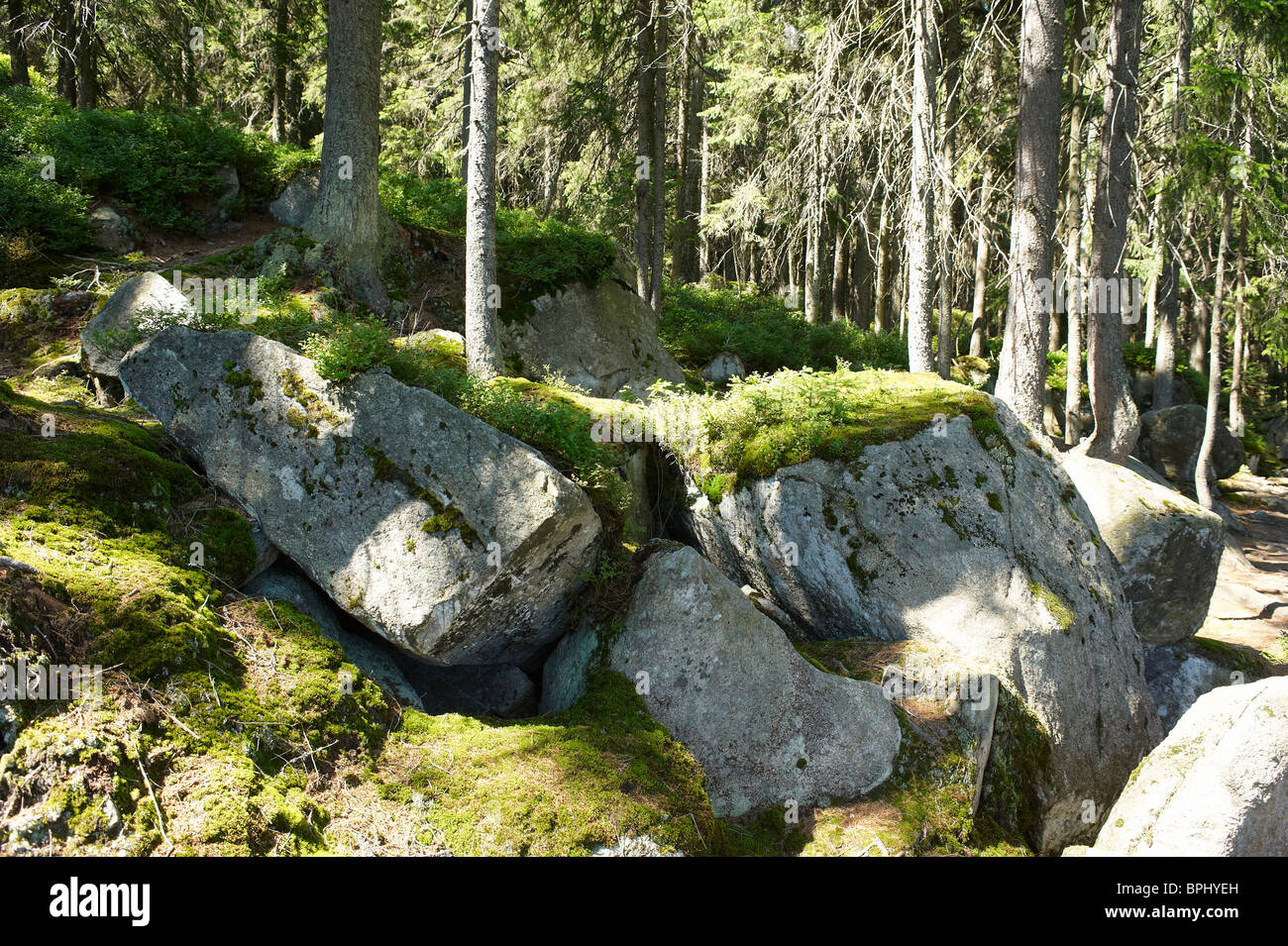Prasilske jezero, Polednik, National Park Sumava, Czech Republic Stock ...