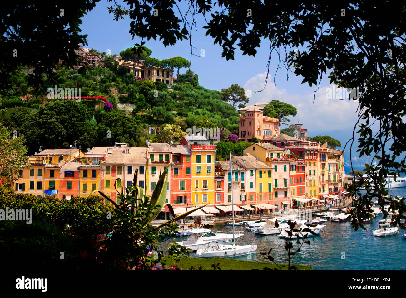 Boats moored in the tiny harbor of Portofino, Liguria Italy Stock Photo ...