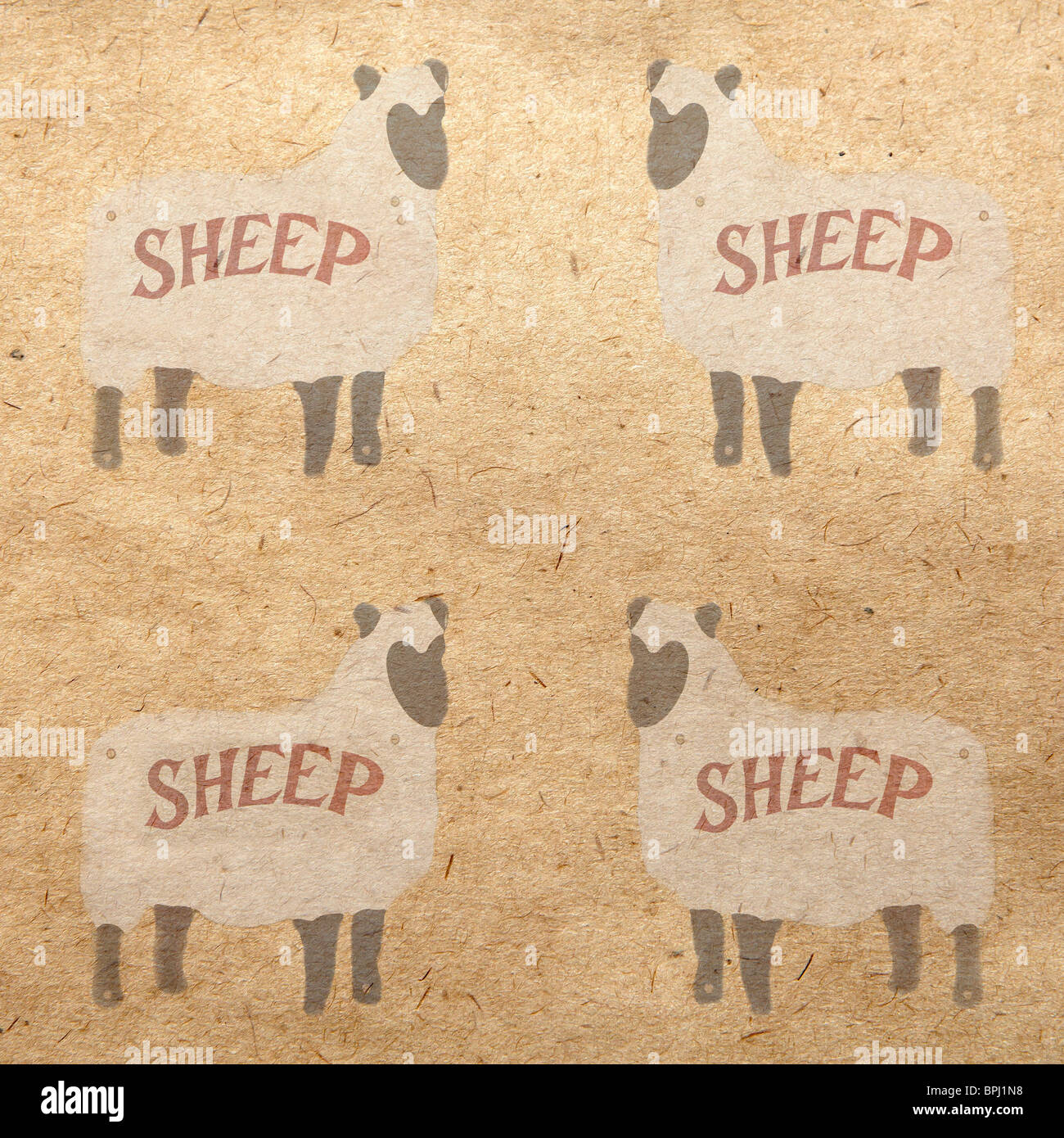 Grain sheep hi-res stock photography and images - Alamy