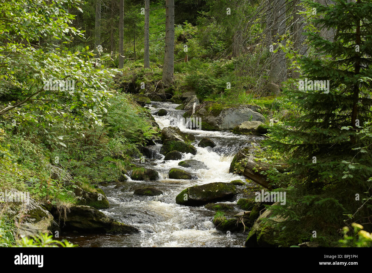 Sumava park hi-res stock photography and images - Alamy