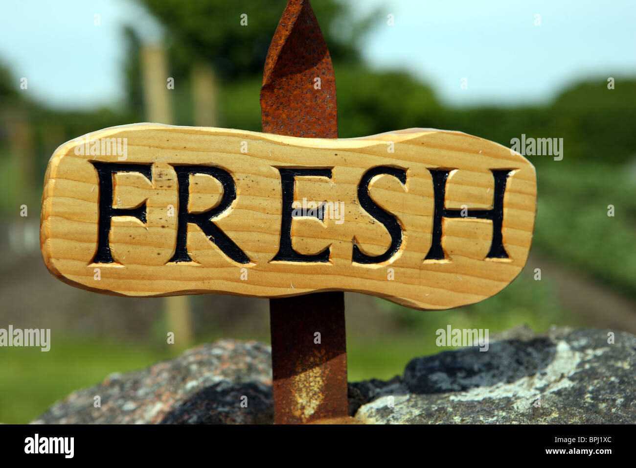 Fresh sign signifying fresh home grown produce at the gardens of the ...